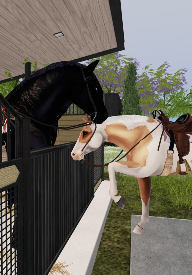 About Us – Project ALVA